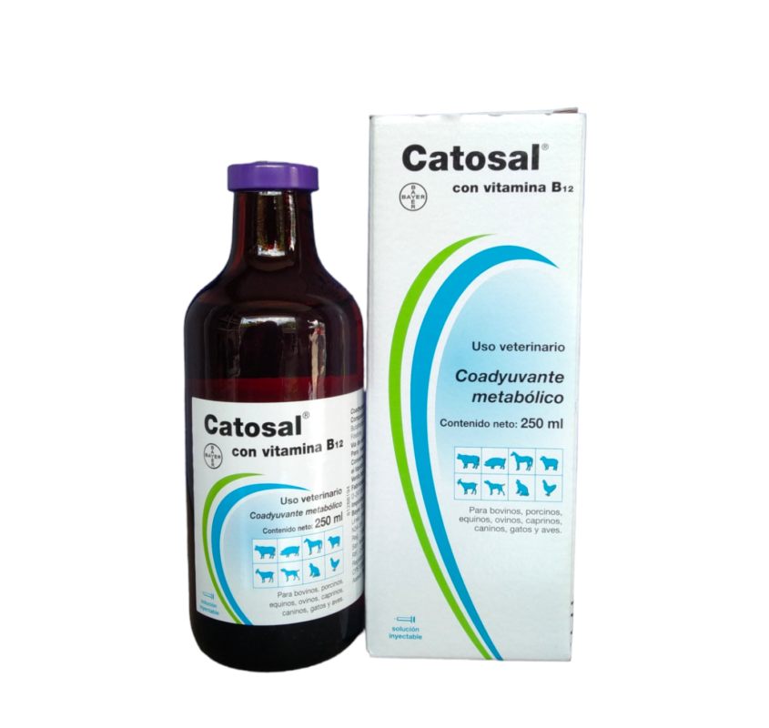 CATOSAL CON VITAMINA B12 X 250 ML – Agrofinca